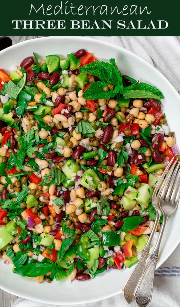 Mediterranean Three Bean Salad Recipe (video) | The Mediterranean Dish