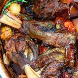 Persian Braised Lamb Recipe (Mahiche) | The Mediterranean Dish