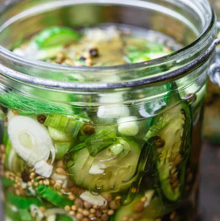 Fried Lemon Rings | The Mediterranean Dish