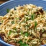 15-Minute Toasted Orzo with Parmesan and Sundried Tomato l The ...