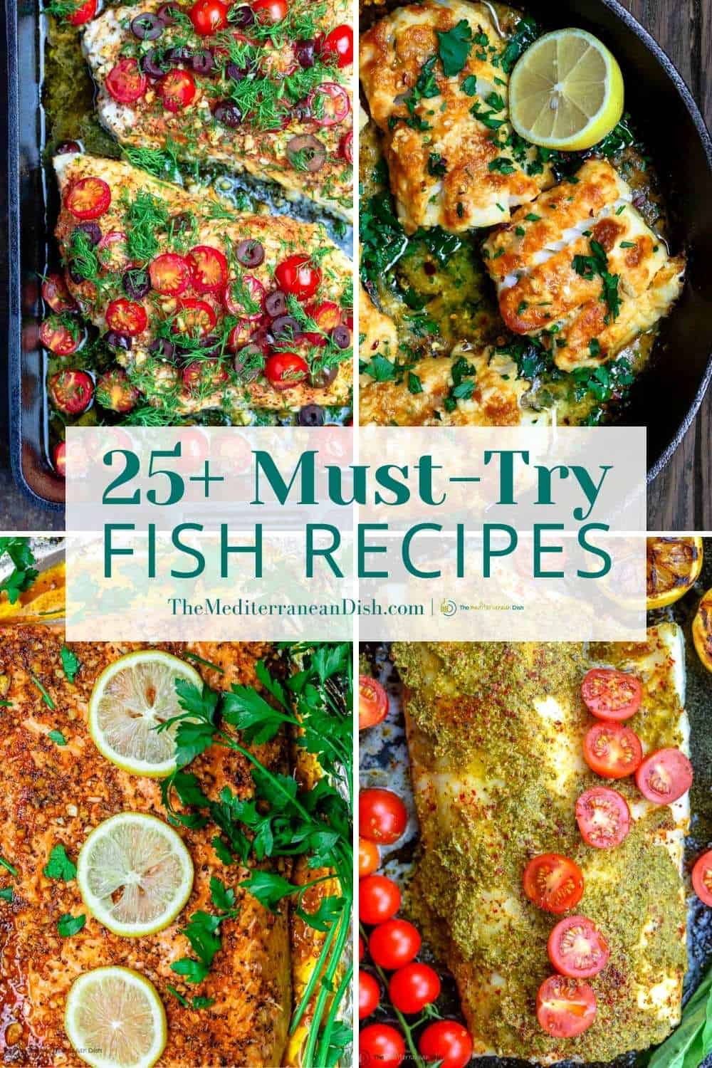 25+ Amazing Fish Recipes Anyone Can Make | The Mediterranean Dish