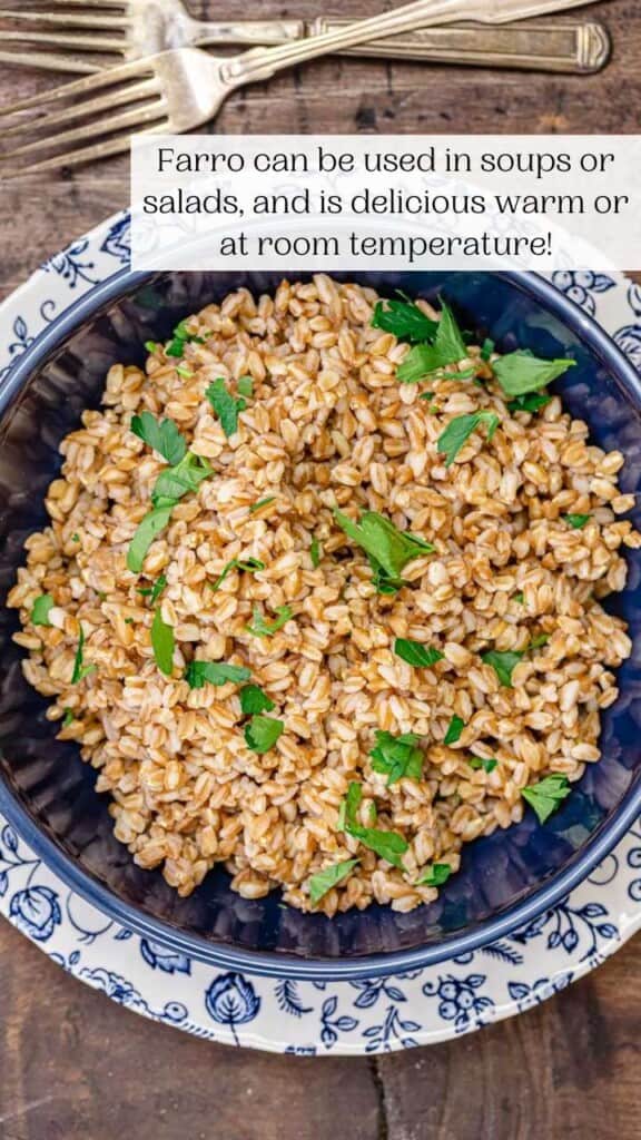 What is Farro? And How to Cook it! - The Mediterranean Dish