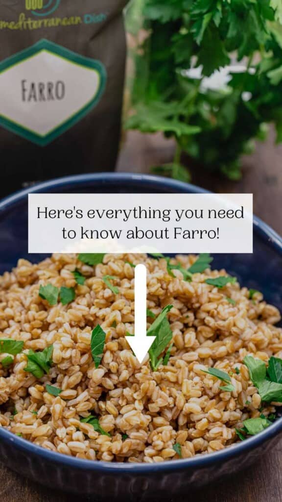 What is Farro? And How to Cook it! - The Mediterranean Dish