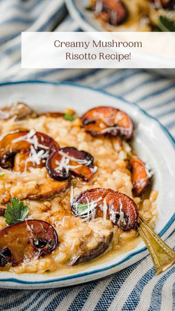 Mushroom Risotto - The Mediterranean Dish