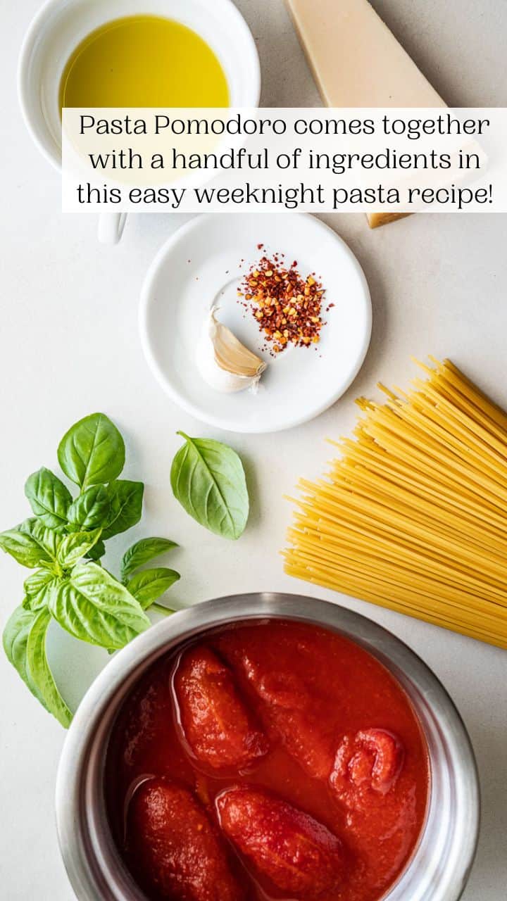 Pasta Pomodoro (Spaghetti with Tomato Sauce) - The Mediterranean Dish