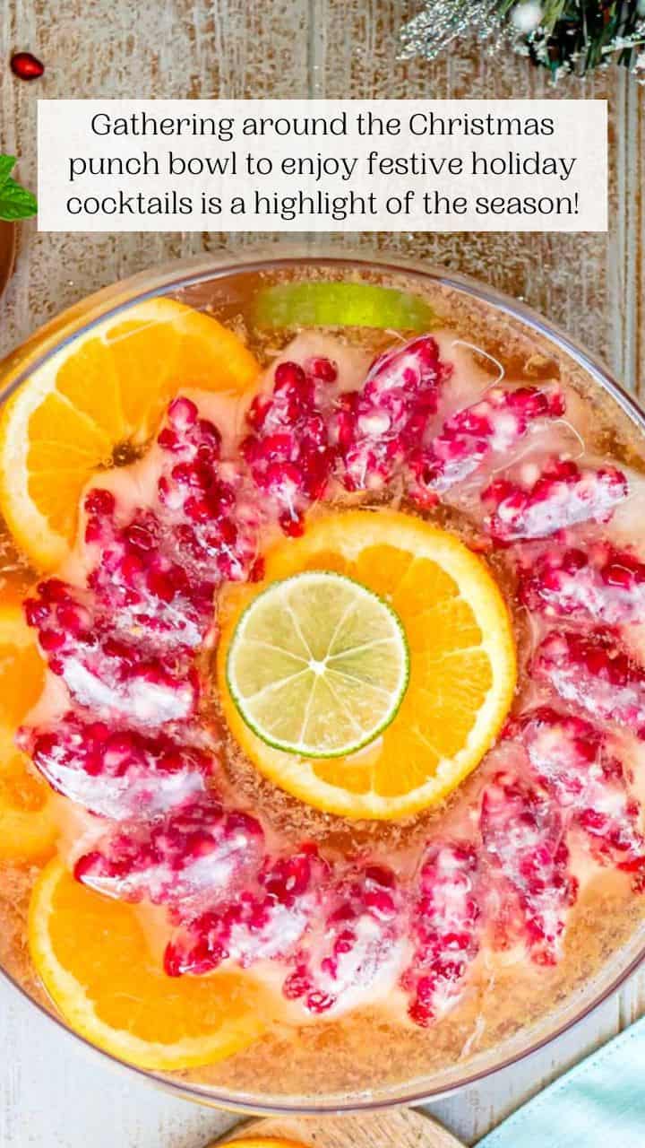 Holiday Punch - The Mediterranean Dish