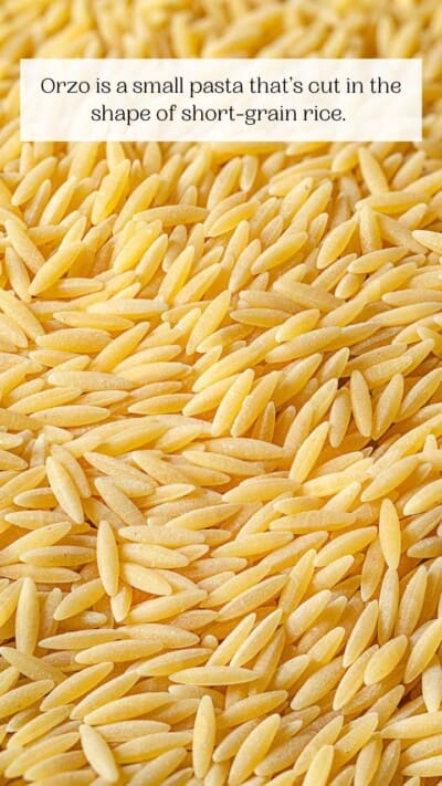 All About Orzo - The Mediterranean Dish