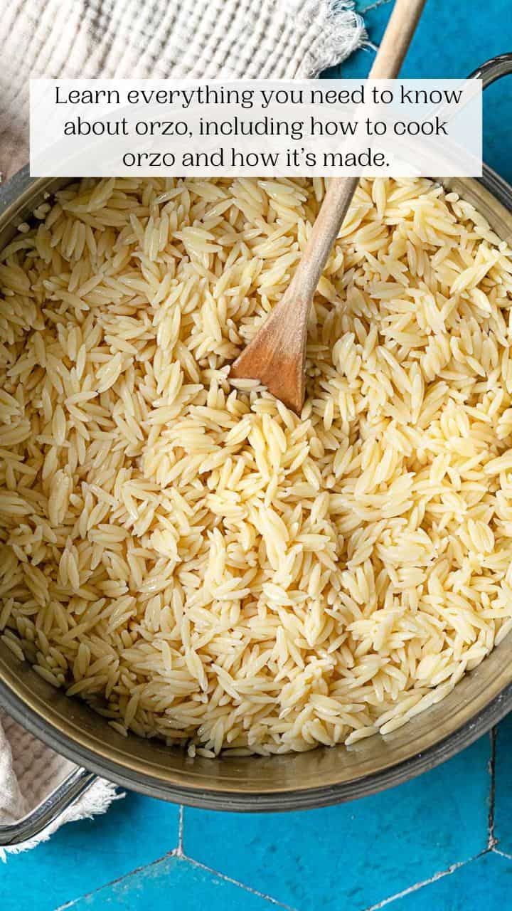 All About Orzo - The Mediterranean Dish