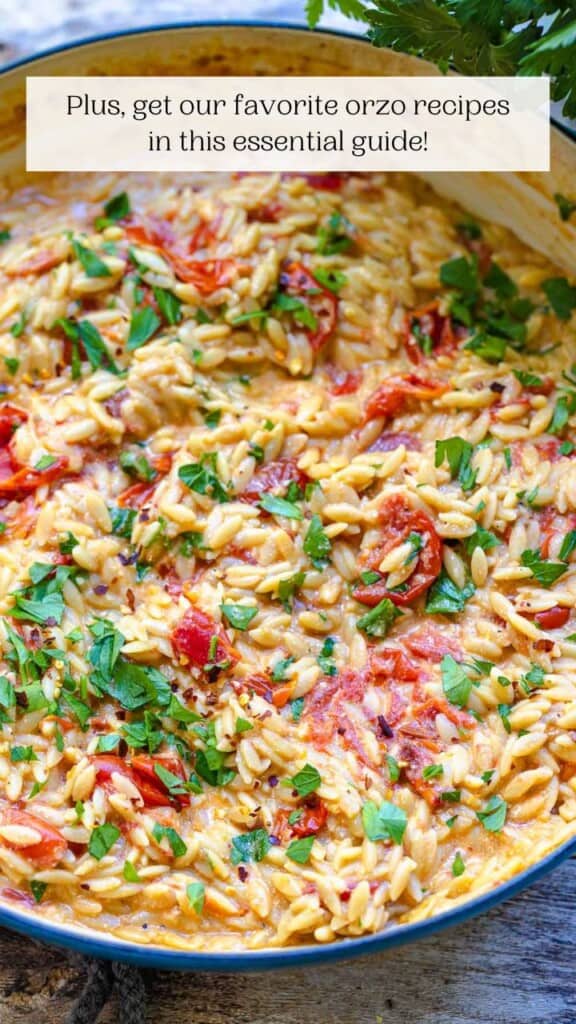 All About Orzo - The Mediterranean Dish