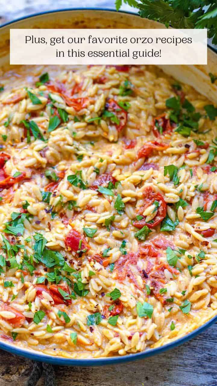 All About Orzo - The Mediterranean Dish