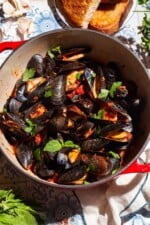 Mussels Marinara | The Mediterranean Dish