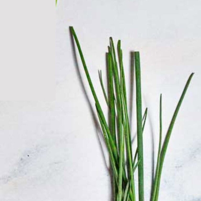 Guide to Fresh Herbs | The Mediterranean Dish