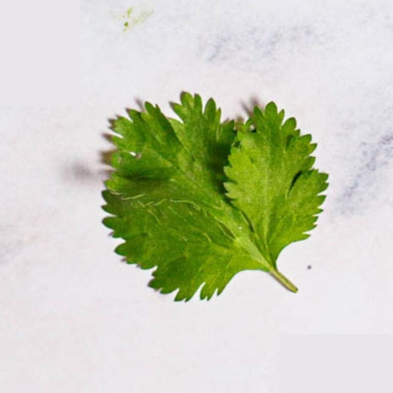 Guide to Fresh Herbs | The Mediterranean Dish