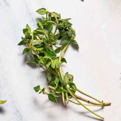 Guide to Fresh Herbs | The Mediterranean Dish