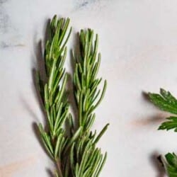 Guide to Fresh Herbs | The Mediterranean Dish