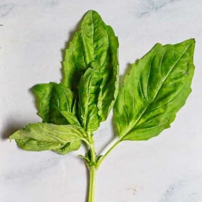 Guide to Fresh Herbs | The Mediterranean Dish