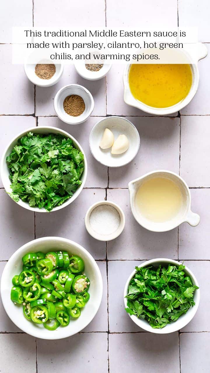 Zhoug (Spicy Pesto Cilantro Sauce) - The Mediterranean Dish