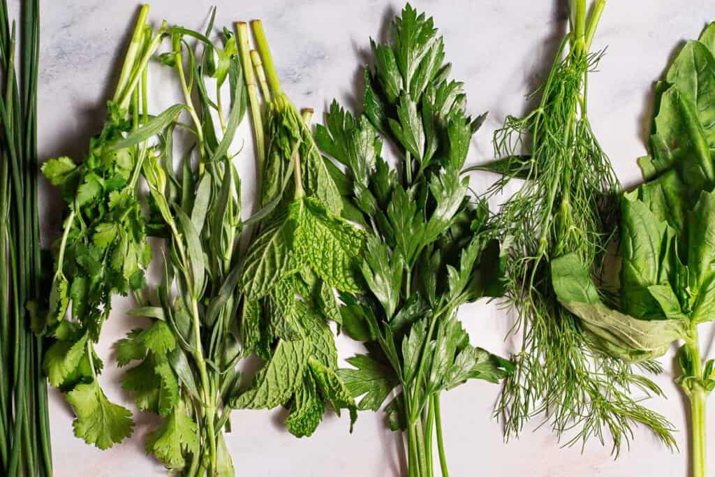Guide to Fresh Herbs | The Mediterranean Dish
