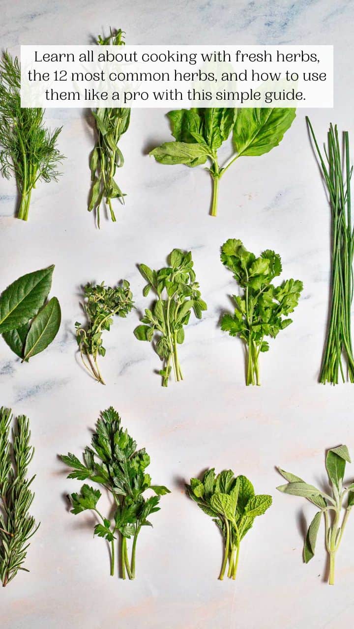 These 12 Fresh Herbs will Transform Your Simple Meals - The Mediterranean Dish