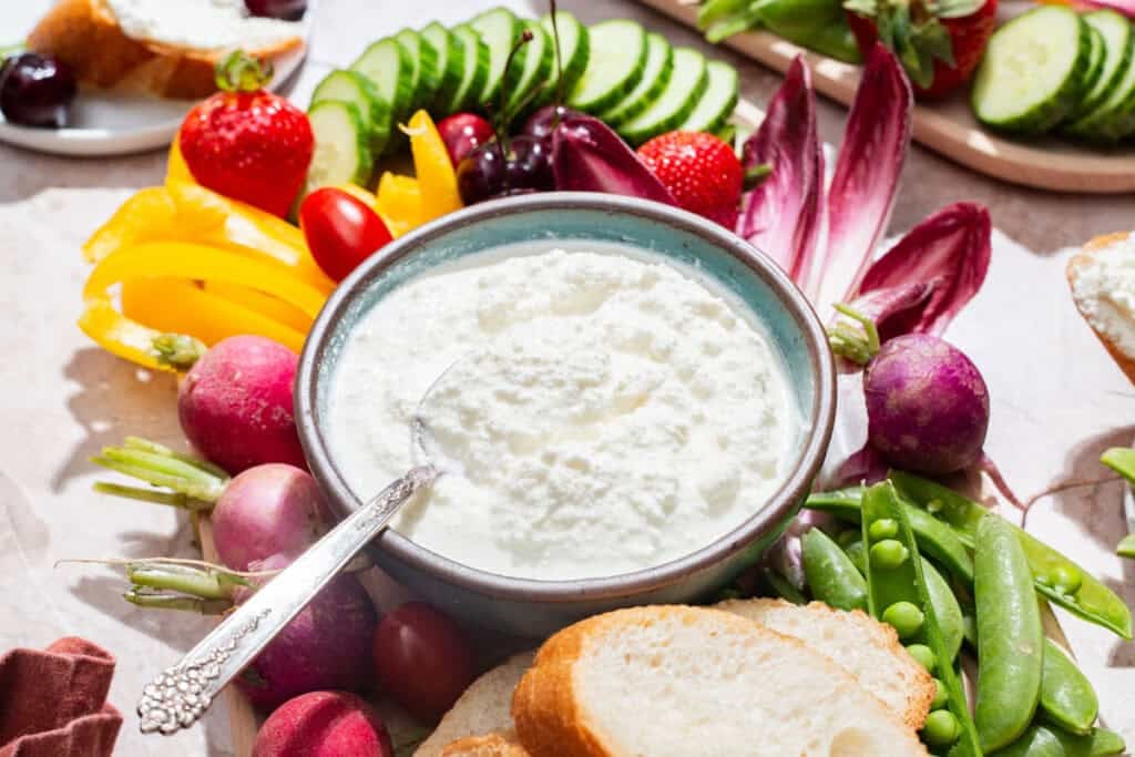 Farmer’s Cheese | The Mediterranean Dish