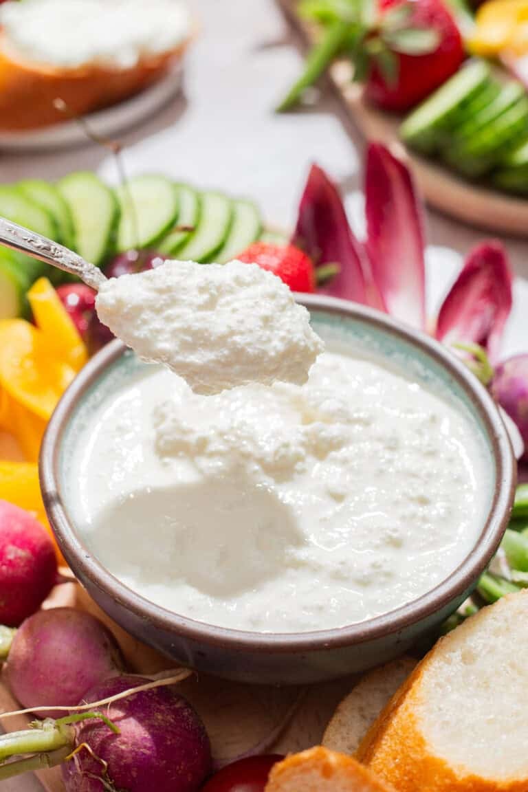 Farmer’s Cheese | The Mediterranean Dish