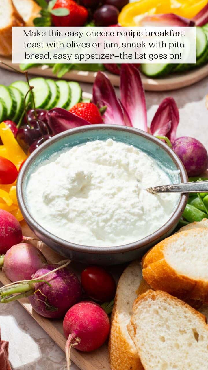 Homemade Farmer’s Cheese - The Mediterranean Dish