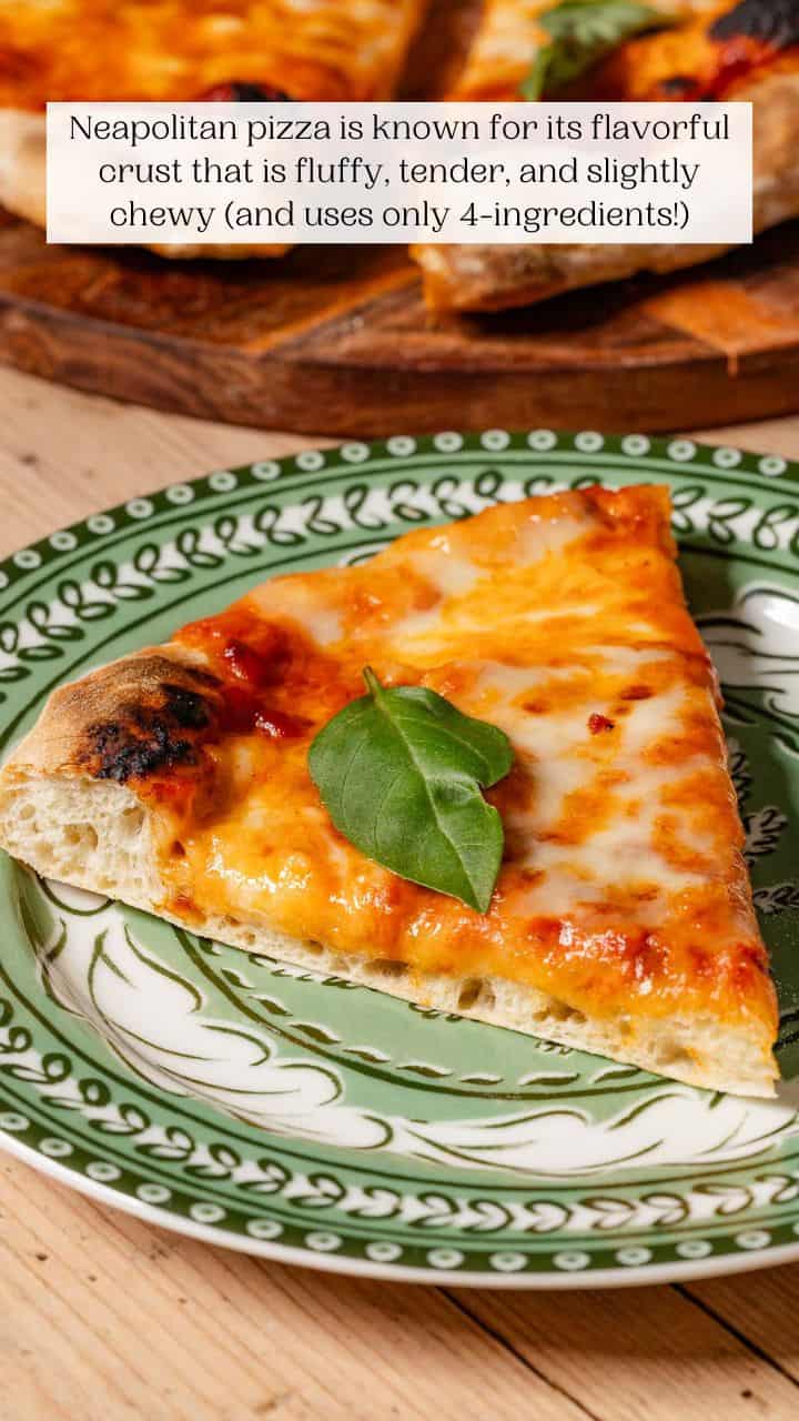 Easy Neapolitan Pizza Dough - The Mediterranean Dish