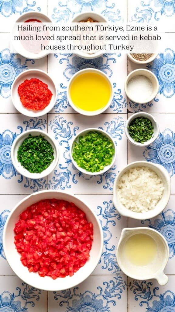 Ezme (Spicy Turkish “Salsa”) - The Mediterranean Dish