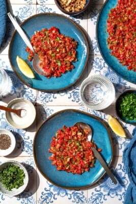 Ezme (Turkish Tomato Spread) | The Mediterranean Dish