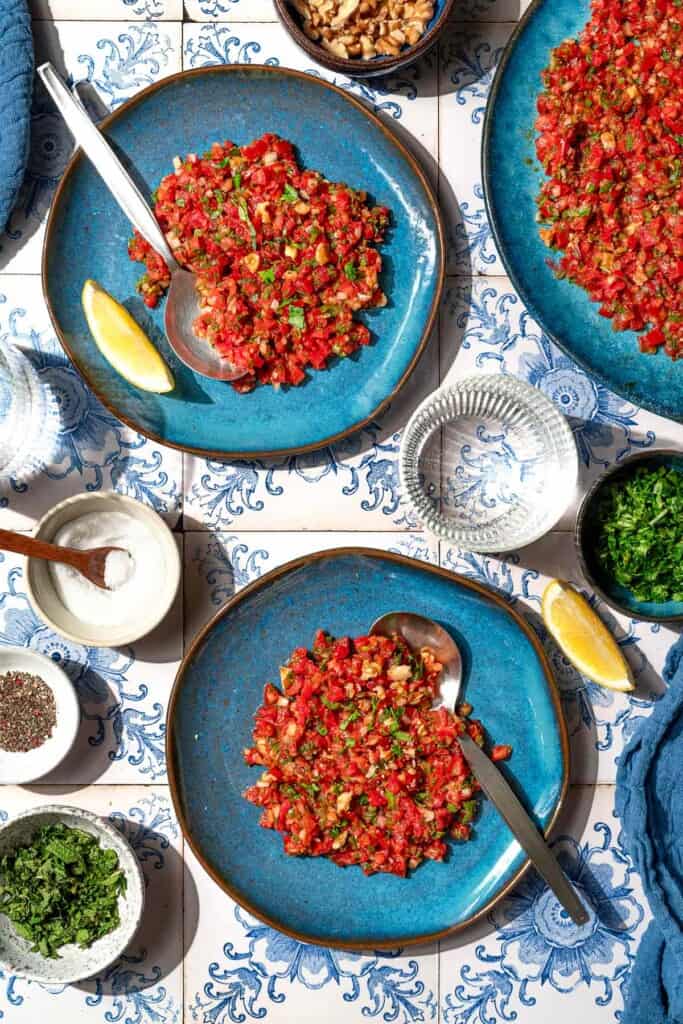 Ezme (Turkish Tomato Spread) | The Mediterranean Dish