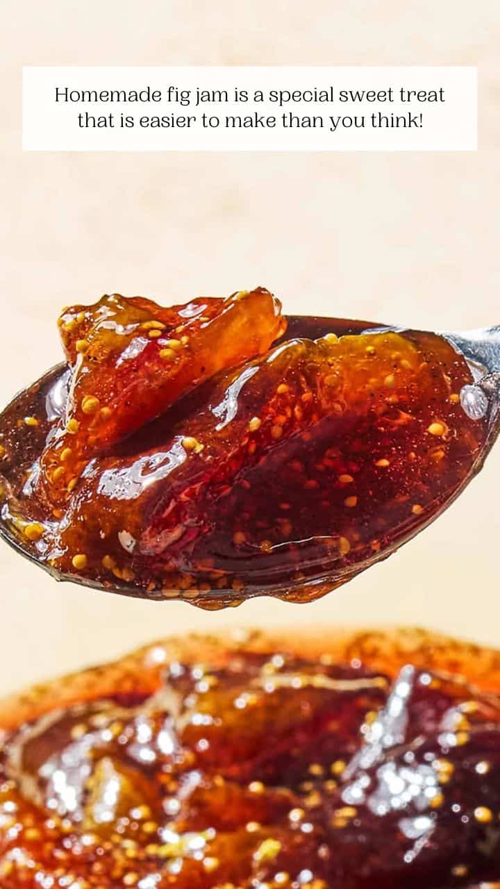 Easy Fig Jam - The Mediterranean Dish