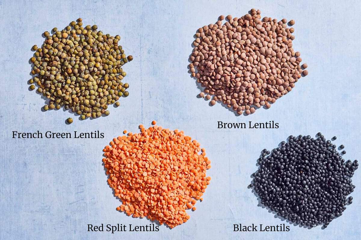 What Are Lentil What Are Lentil