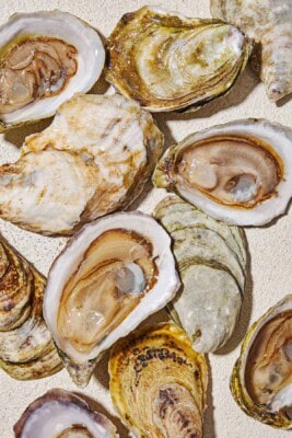 How to Shuck Oysters | The Mediterranean Dish