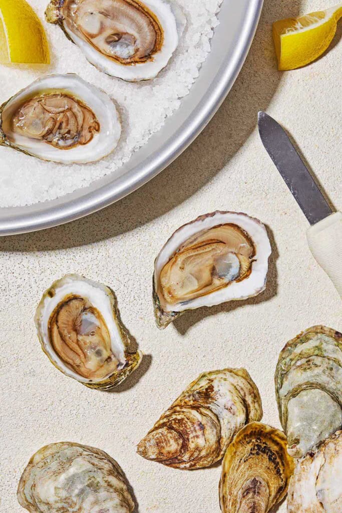 How to Shuck Oysters | The Mediterranean Dish