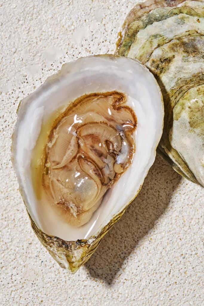 How to Shuck Oysters | The Mediterranean Dish