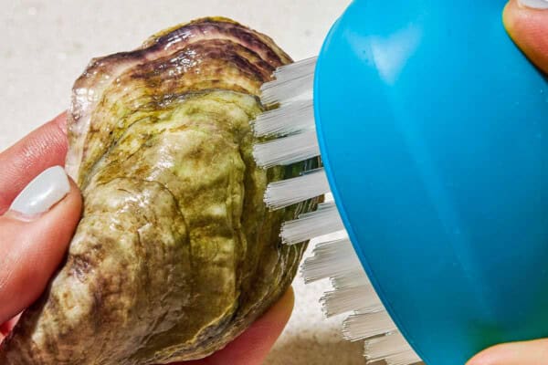 How to Shuck Oysters | The Mediterranean Dish