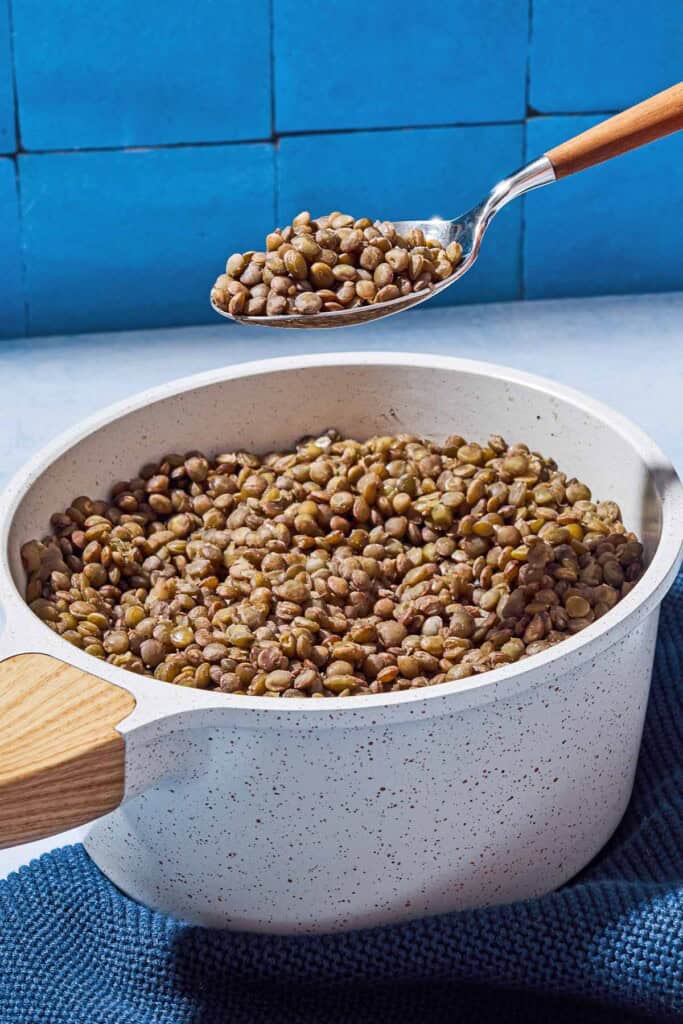 How to Cook Lentils (Lentil Recipe) | The Mediterranean Dish