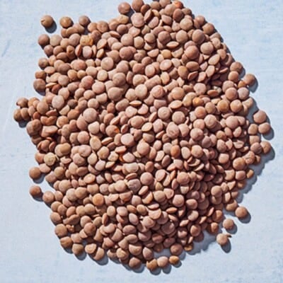 How to Cook Lentils (Lentil Recipe) | The Mediterranean Dish
