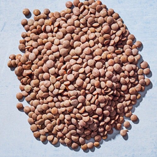 How to Cook Lentils (Lentil Recipe) | The Mediterranean Dish