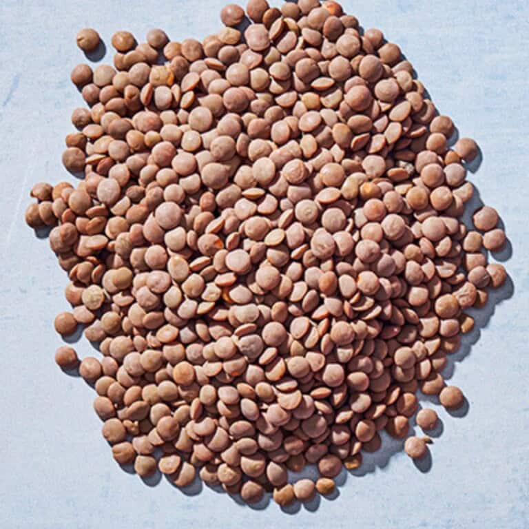 How to Cook Lentils (Lentil Recipe) | The Mediterranean Dish