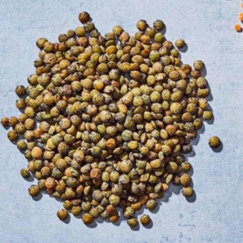 How to Cook Lentils (Lentil Recipe) | The Mediterranean Dish