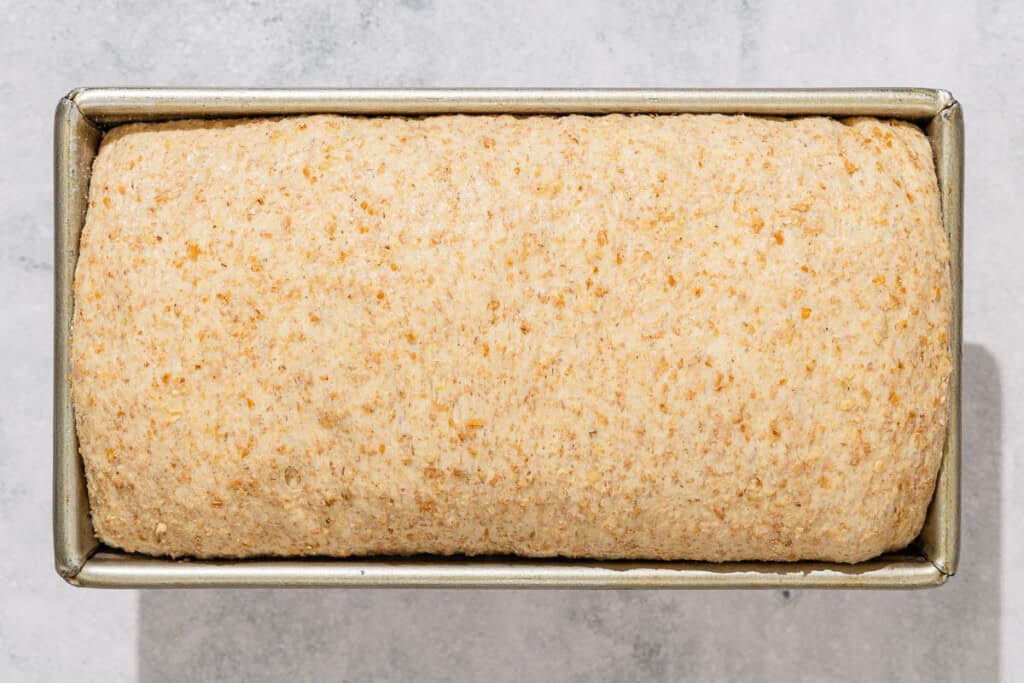 100% Whole Wheat Bread Recipe | The Mediterranean Dish